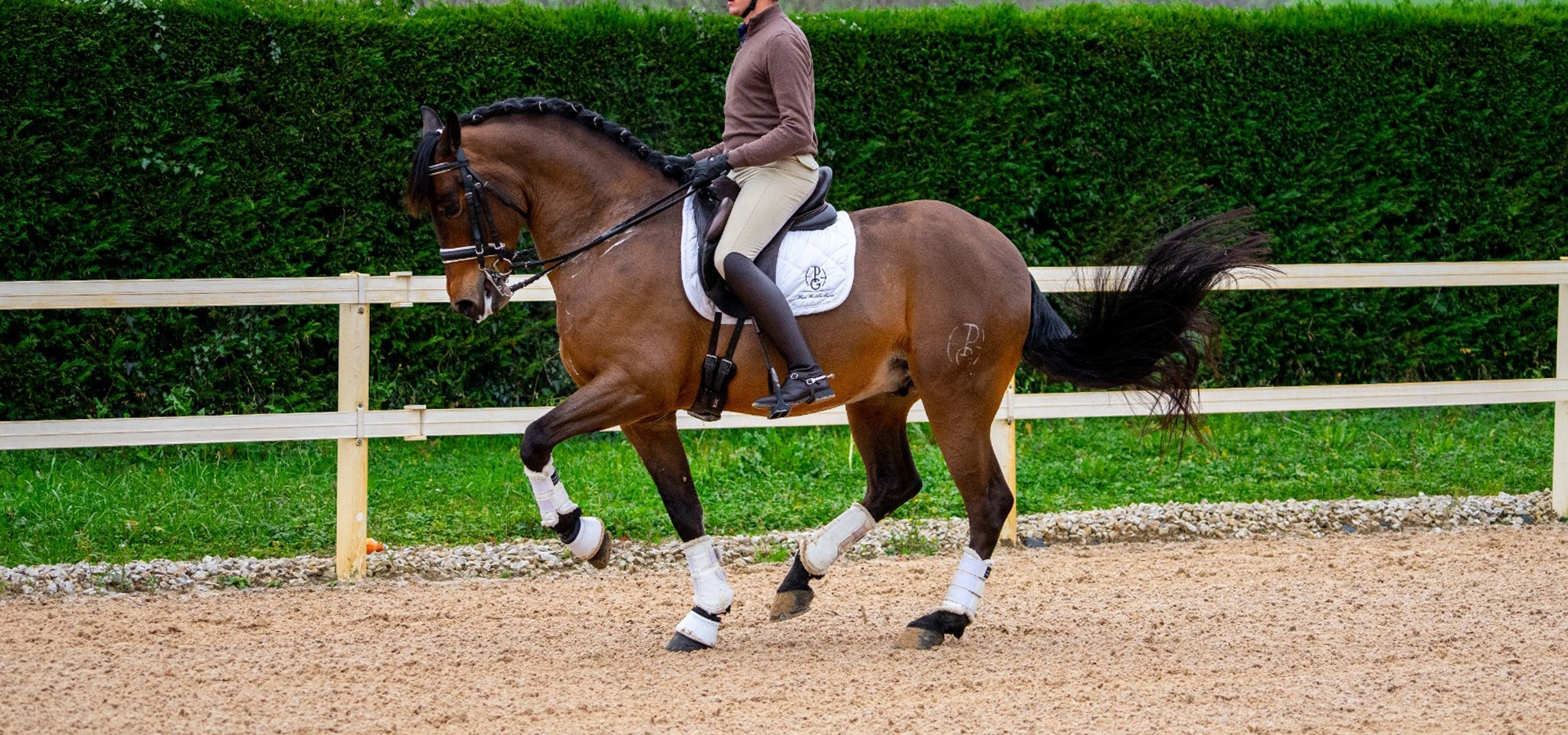 Yeguadaportillagarcia – Pupilaje y venta de caballos
